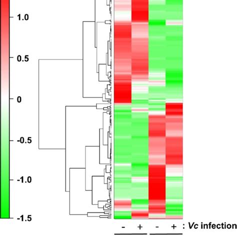 Heat Map Constructed From Hierarchical Cluster Analysis Hca Of Cecal