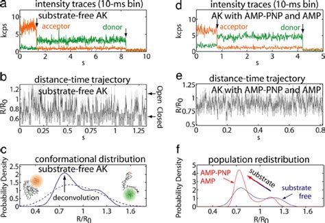 Raw Single Molecule Data And Subsequent Analysis A Single Molecule Download Scientific