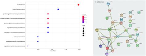report · wiki · bird pipeline registry srp pipeline · gitlab
