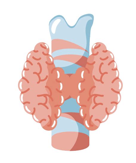 A Guide To Navigating Life Insurance With Hyperthyroidism And