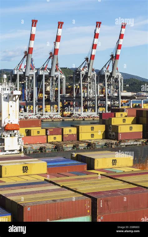 Stacked Metal Box Shipping Containers And Gantry Cranes On Dock Msc Renaissance Iii Cargo Ship