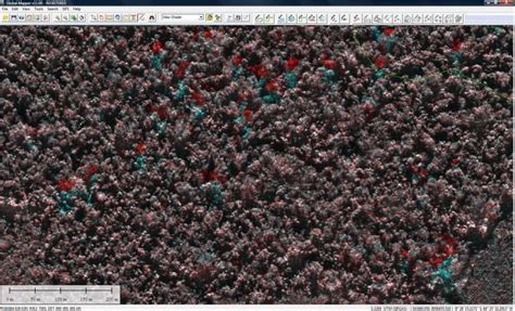 Rgb Composition Of Multitemporal Sar Orthoimages Showing The Selective Download Scientific