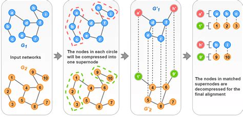 An Illustrative Example Of Applying Compression On Two Networks For Download Scientific Diagram