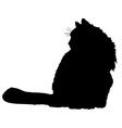 Tuxedo Cat Royalty Free Vector Image Vectorstock