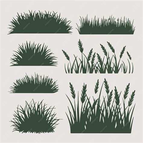 A Set Of Different Types Of Grass With Different Shapes And Colors