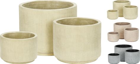 עציץ דליה משתלת דרויאן