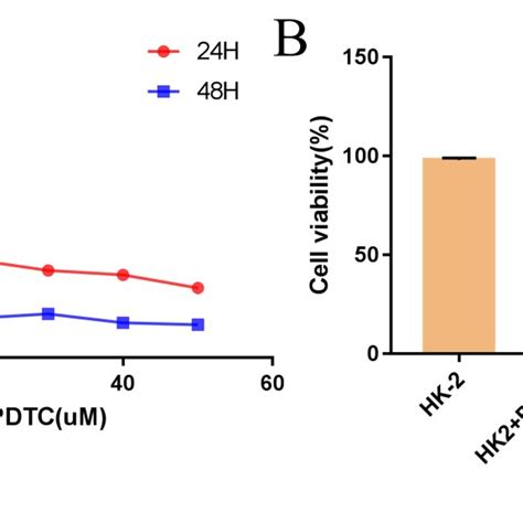 Effect Of Pdtc On Apoptosis Protein And Cell Surface Marker Protein A