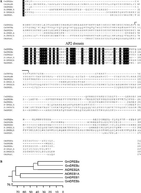 Comparison And Phylogenetic Analysis Of The Deduced Amino Acid
