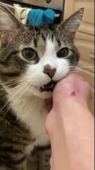 Practicing Self Control Source Tumbex