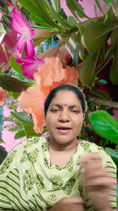 Hash Functions In Hashing Types Of Hash Functions Hashfunctions