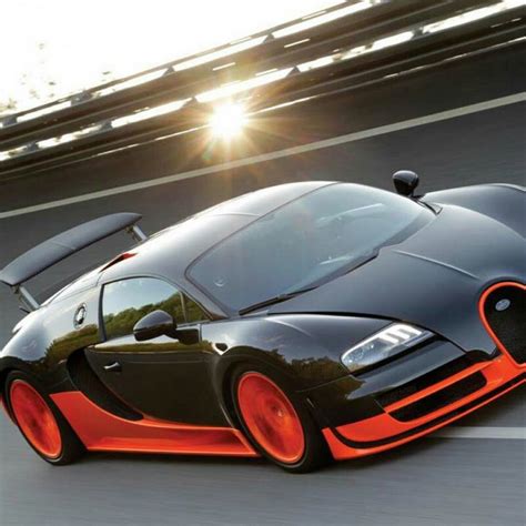 Aiden Carroll Youtube