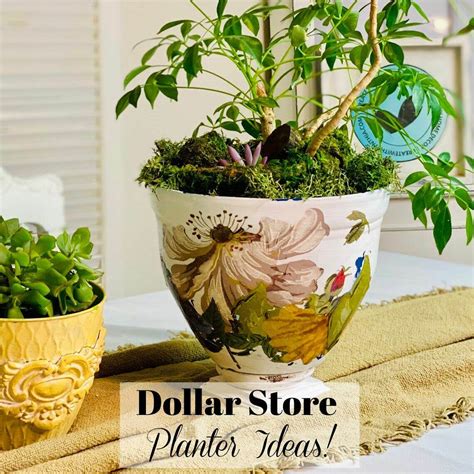 Stackable Planters Dollar Store