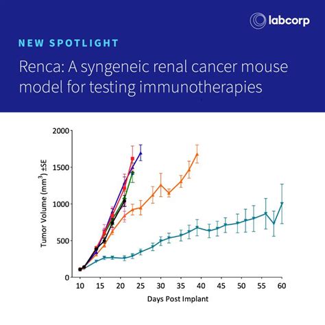 Renca Is A Well Established Murine Renal Cancer Line That Can Be