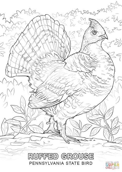 Atlanta Falcons Coloring Pages At Getdrawings Free Download