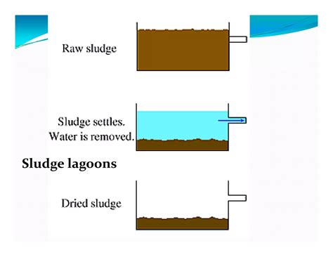 Sludge Management And Sludge Digesters Pdf