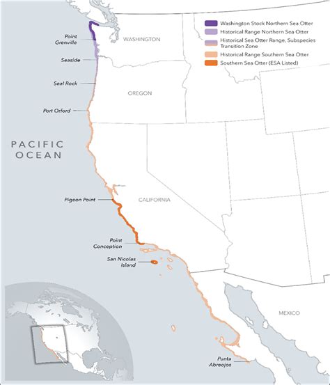 Current And Historical Range Of The Southern Sea Otter