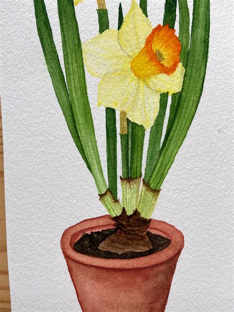 Daffodil Watercolor