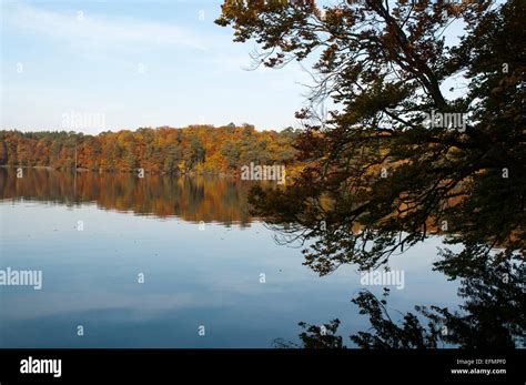 Lake Stechlin Is A 69 5 M Deep Lake With Very Clear Water In Northernmost Brandenburg In Germany