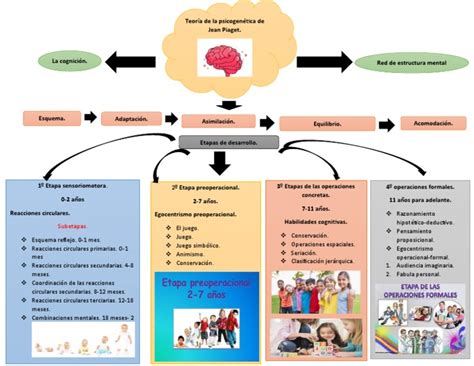 Teoría De La Psicogenética De Jean Piaget Las Etapas Del Desarrollo