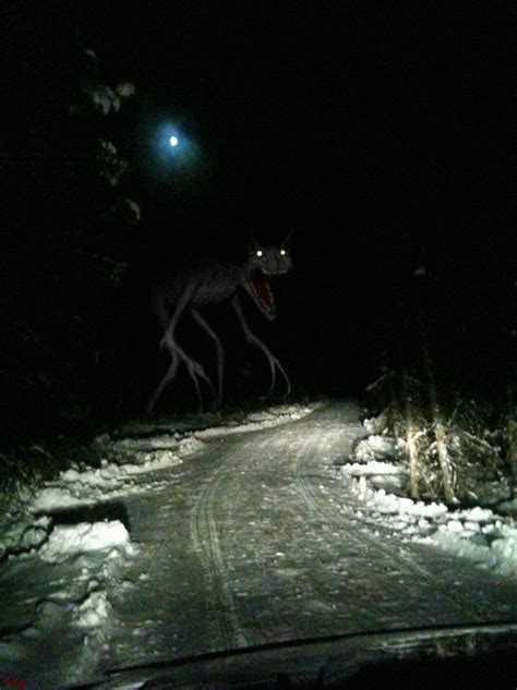 Leovincible On Tumblr