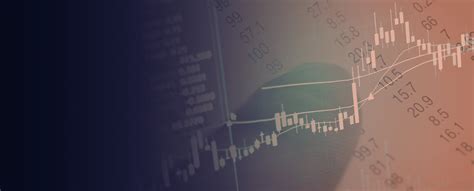 Enterprise Information Management Eim Software Vertex Cs