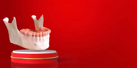 Neuroplasticity As A New Concept In Rehabilitation Of Oral Function And