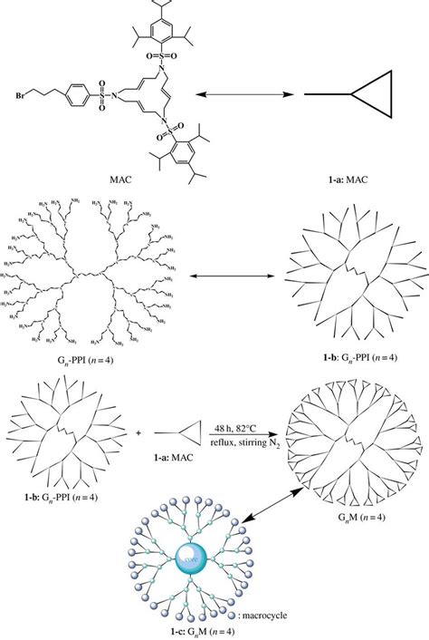 The Synthesis Route Of Gnm Mac Gn Ppi And Gnm Are Simplified As 1 A