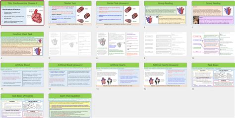 Cardiovascular Disease Exam Questions Gcse At Charlott Leff Blog