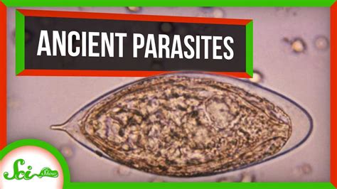 Learn About The 6 Oldest Parasites Ever Known