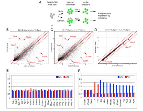 Gene Expression Profiling Of Nodal And Activin Derived Endoderm A Download Scientific