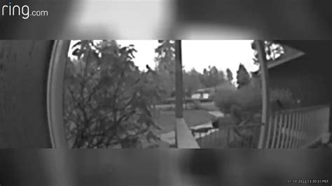 Ding Dong Ditched R Roseruland