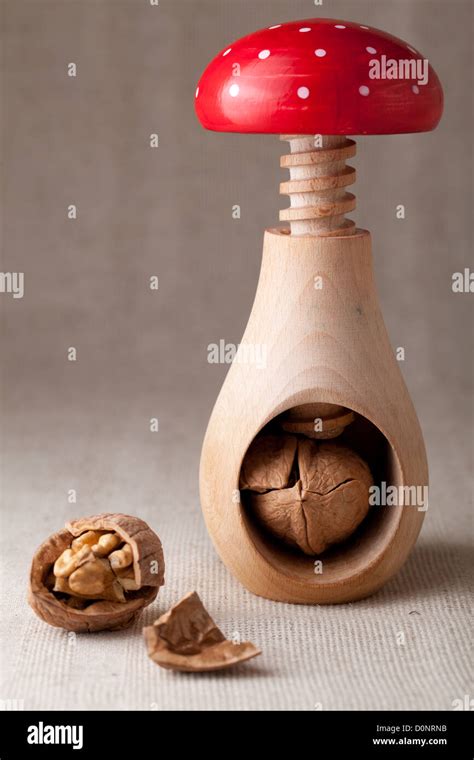 Cracked Brown Circassian Walnuts Nut Core Shell Wooden Handmade Nutcracker Like Fungus