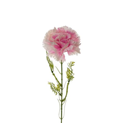 53cm Carnation Stem Flower Ly16619