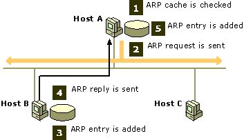 Gratuitous Arp