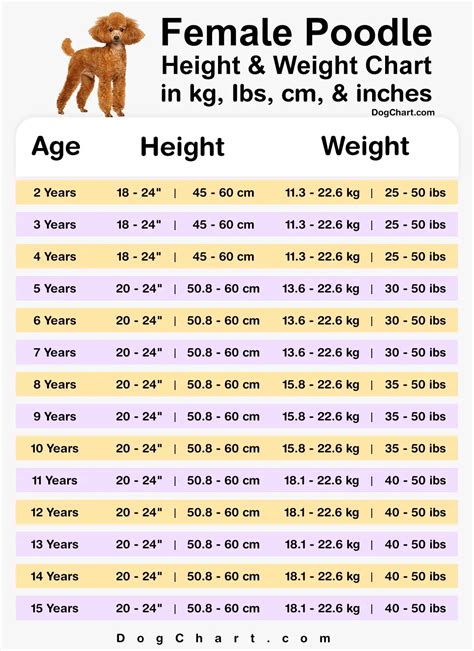 Poodle Height And Weight Chart By Age In Kg Lbs Cm Inches