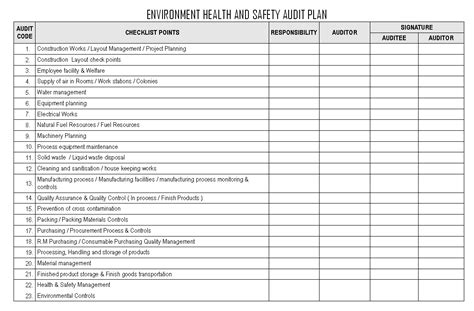 Environment Health And Safety Audit Plan Intended For Annual Health