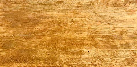 Bored Moms Club Bored Moms Club Urban Exploration