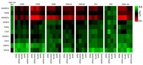 Gene Expression In Ra Treated Wt Cell Cultures Primary Wt Cells Were