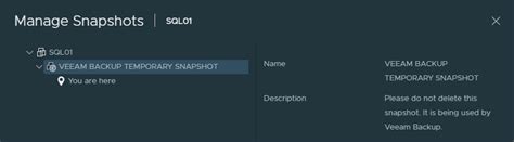 KB Veeam Backup Temporary Snapshot