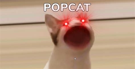 GitHub Jvloo Popcat Popbot JS Python Bot Script For PopCat Challenge Direct Send Pops To