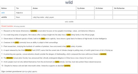 Wild Ne Demek Anlamı Nedir Yds YÖkdİl İngİlİzce TÜrkÇe BaĞlamsal