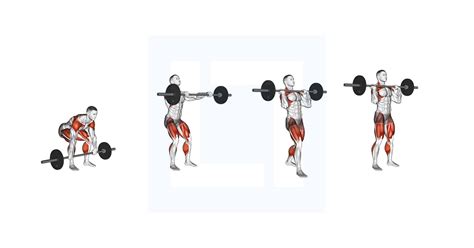 Dumbbell Seated Lateral Raise Guide Benefits And Form