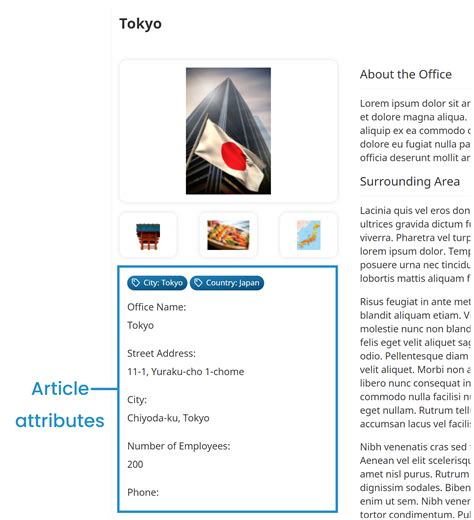 Article Template Attributes