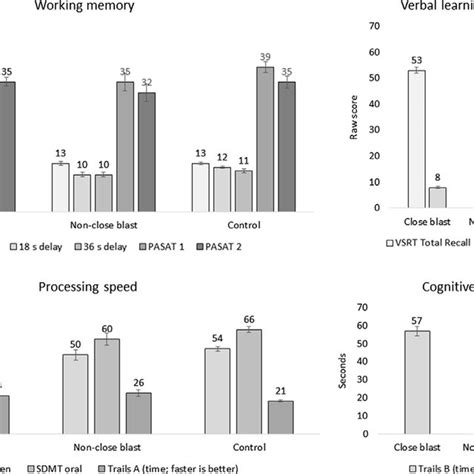 Group Differences On Measures Of Cognitive Performance No Group