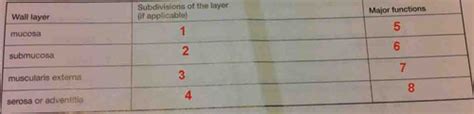 Exam 2 Histology Chart Flashcards Quizlet