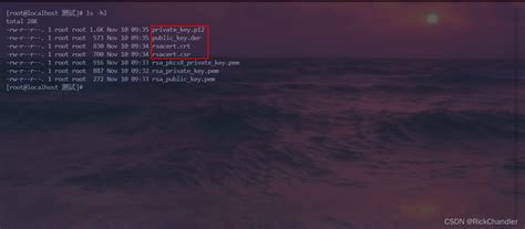 Android、ios客户端rsa密钥生成android 公钥 Csdn博客 Android、ios客户端rsa密钥生成android 公钥 Csdn博客