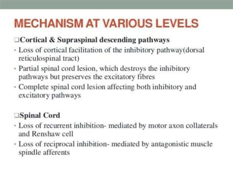 Spasticity Pathophysiology And Management Pptx