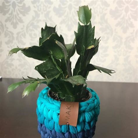 Conjunto Mini Potes Loja Makie Deco Elo7 Produtos Especiais