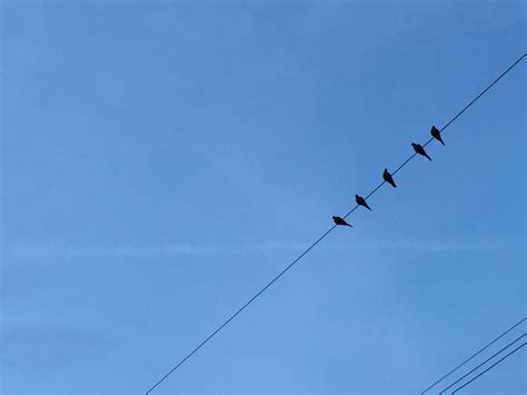 Gallery Zero Geoengineering