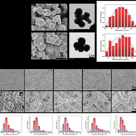 Particle Morphology And Size Distribution Of A Pda And B Pda E2 Download Scientific Diagram